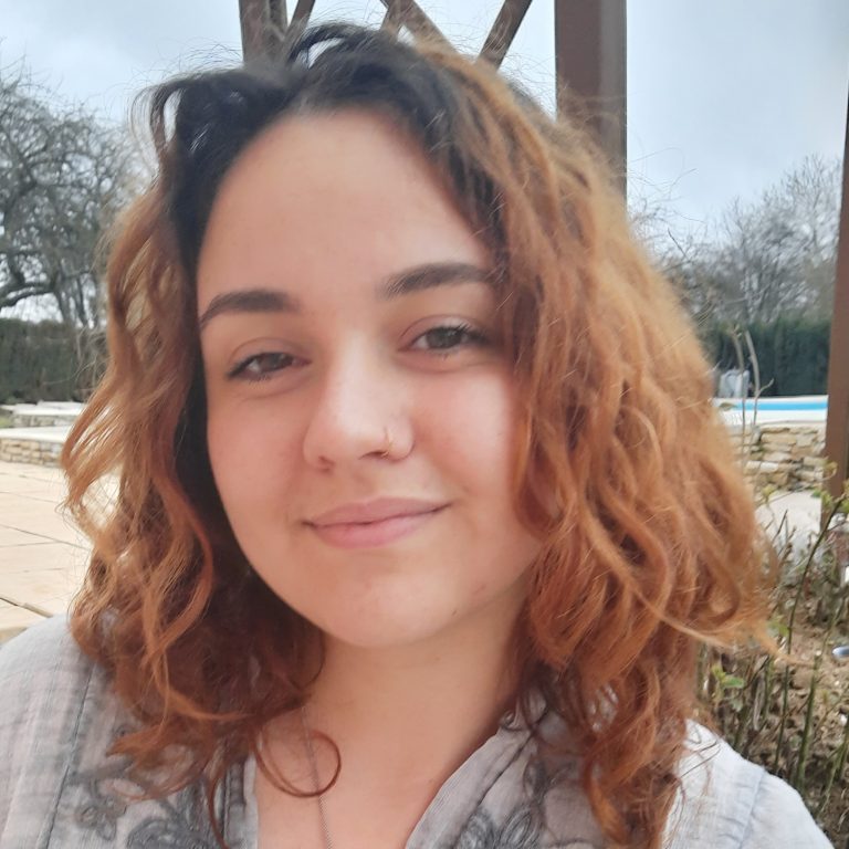 Le CPE et le développement du sentiment de justice en milieu scolaire ...